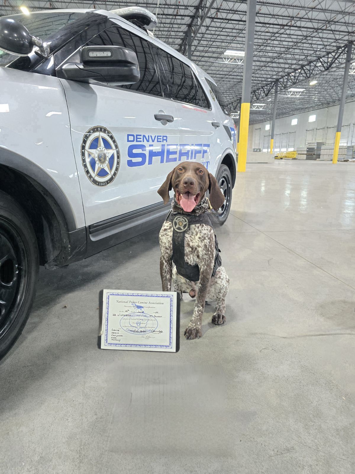 Sponsorship Opportunities - Friends of Sierra